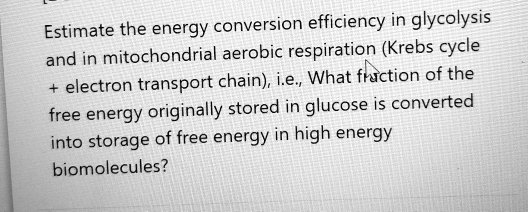 Estimate the energy conversion efficiency in glycolysis and in ...
