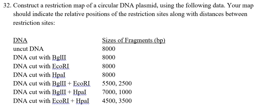 32 construct a restriction map f a circular dna plasmid...