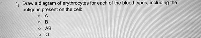 Draw a diagram of erythrocytes for each of the blood types, including ...
