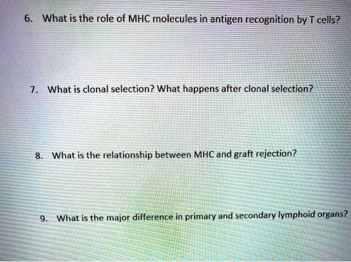 SOLVED: What is the role of MHC molecules in antigen recognition by T ...