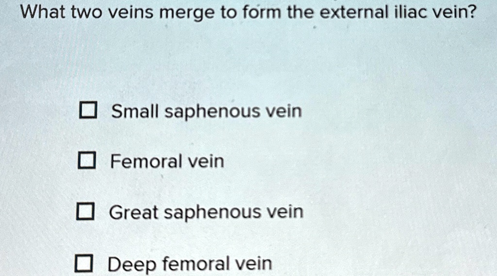 what two veins merge to form the external iliac vein small saphenous vein femoral vein great ...