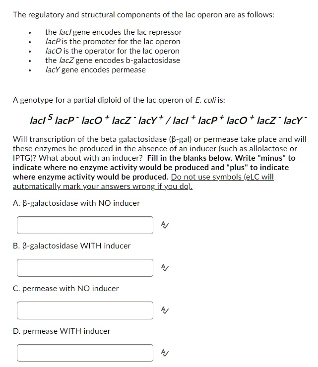 The regulatory and structural components of the lac operon are as ...