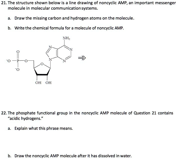 21. The structure shown below is a line drawing of noncyclic AMP, an important messenger ...