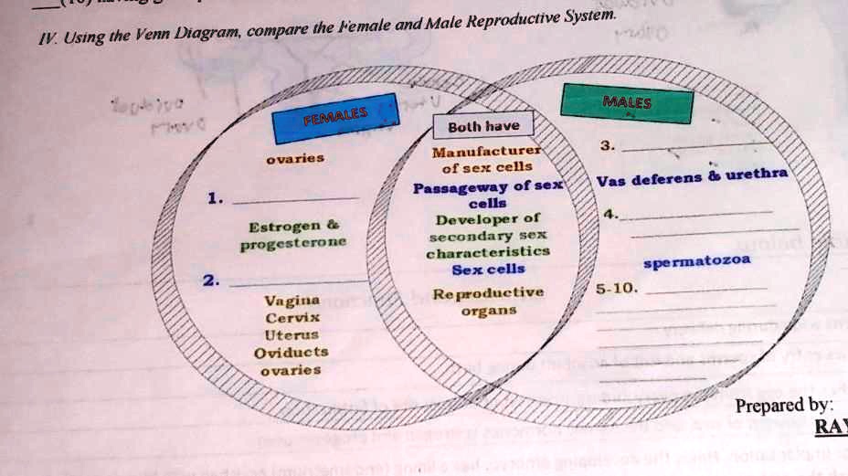 IV. Using the Venn Diagram, compare the Female and Male Reproductive ...