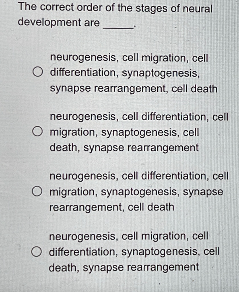 The Correct Order Of The Stages Of Neural Development Are Neurogenesis Cell Migration Cell