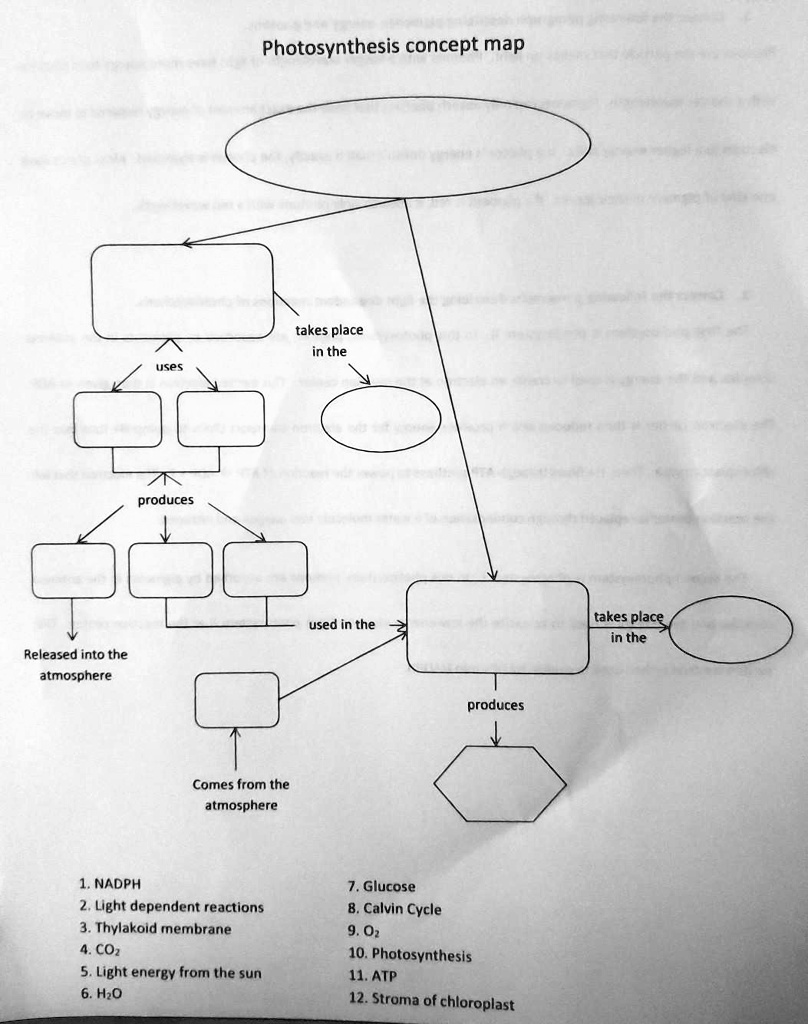 photosynthesis concept map takes place in the ucec produces takes place ...