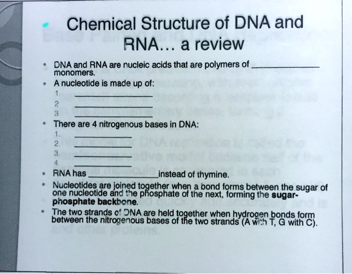 SOLVED:Chemical Structure of DNA and RNA. a review DNA and RNA are ...