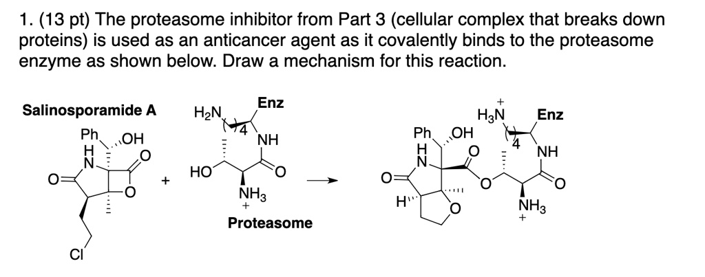 SOLVED: 1. (13 pt) The proteasome inhibitor from Part 3 (cellular ...