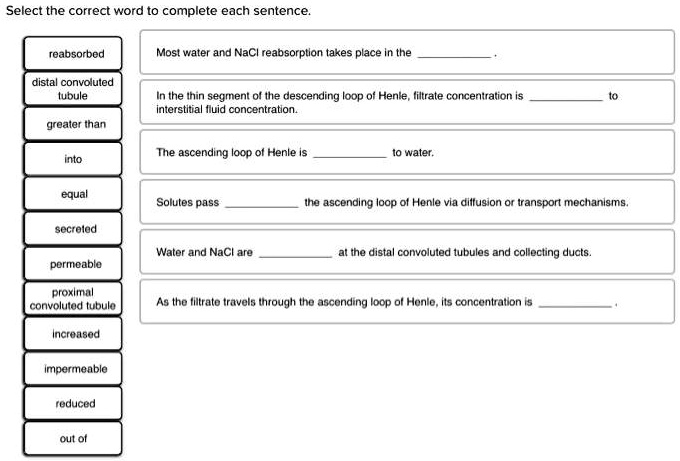 Select the correct word to complete each sentence. reabsorbed Most ...