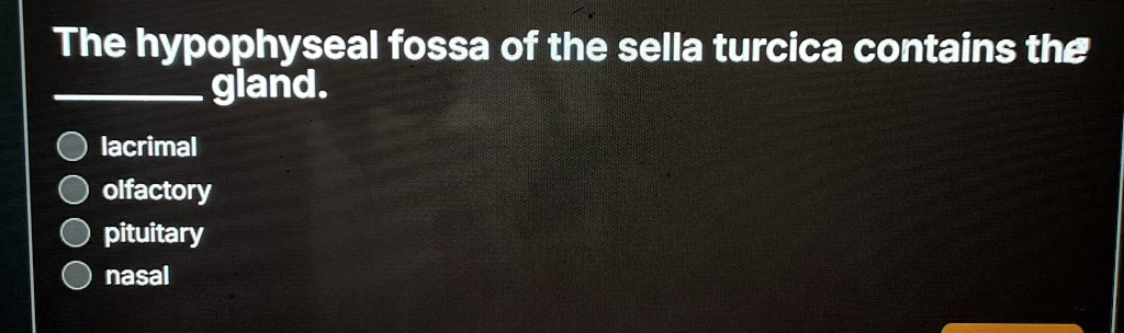 the hypophyseal fossa of the sella turcica contains the lacrimal ...