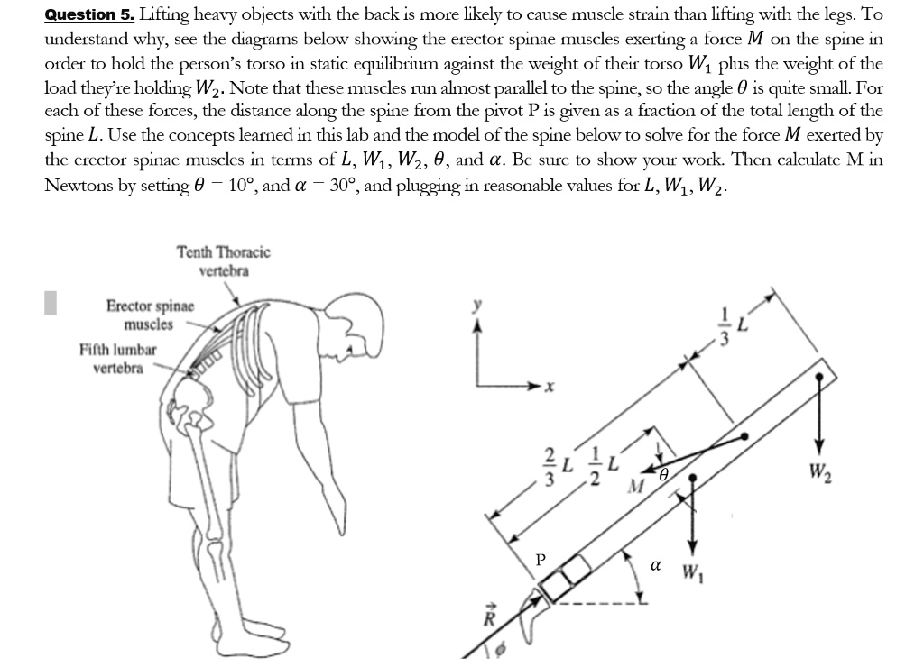 Question 5. Lifting heavy objects with the back is more...