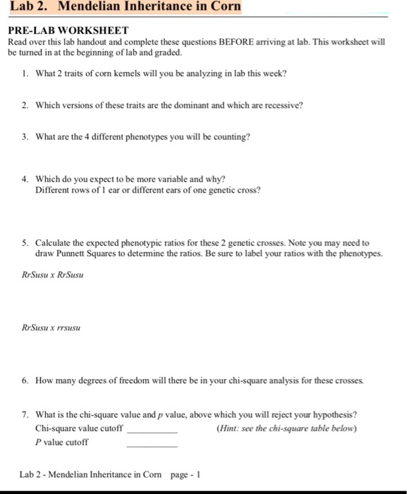 lab 2 mendelian inheritance in corn pre lab worksheet read over this ...