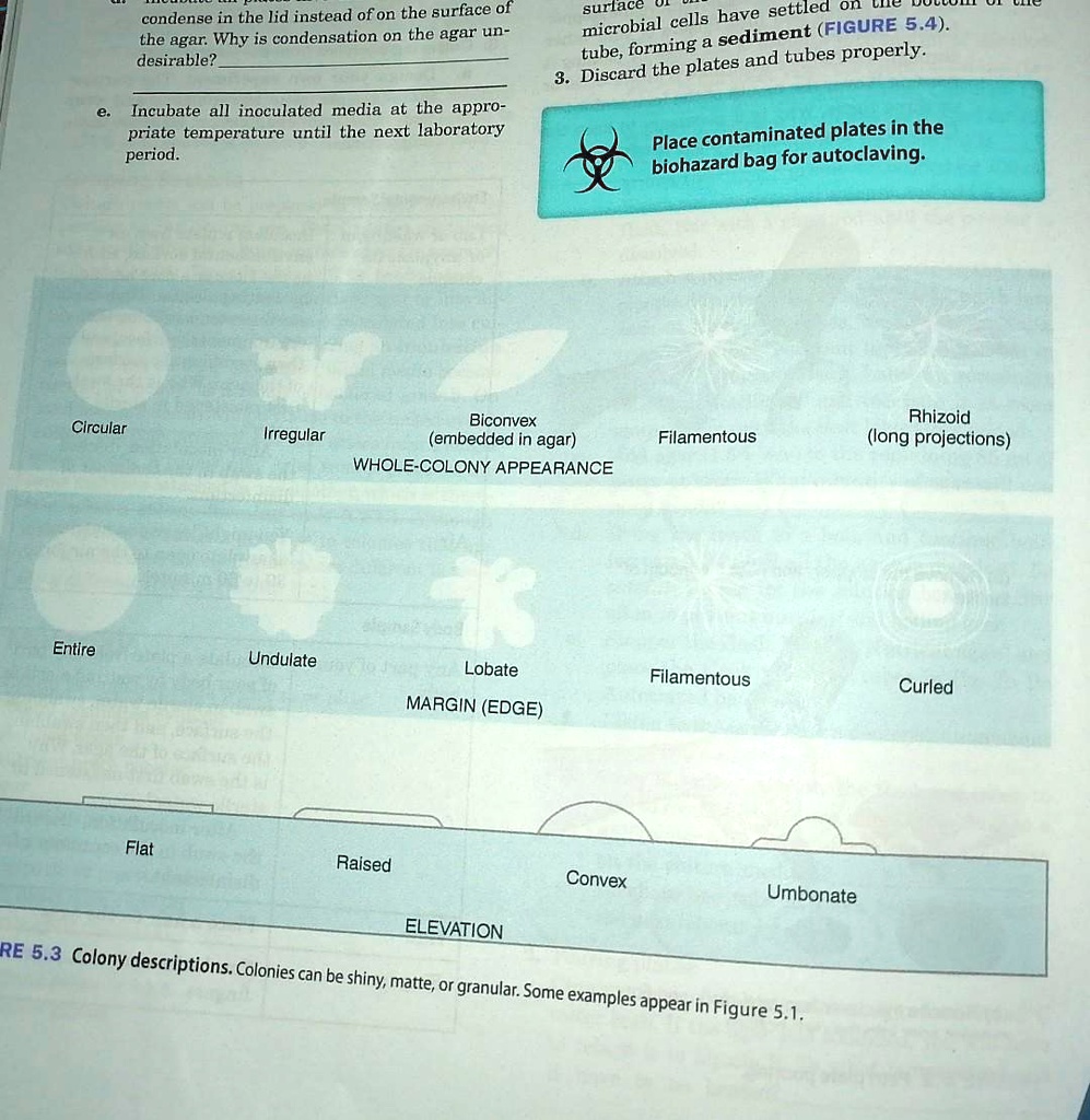 SOLVED: Condensation on the lid instead of on the surface of the agar ...