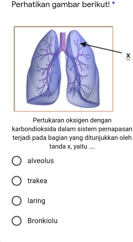 Solved Pertukaran Oksigen Dengan Karbondioksida Dalam Sistem Pernapasan Terjadi Pada Bagian
