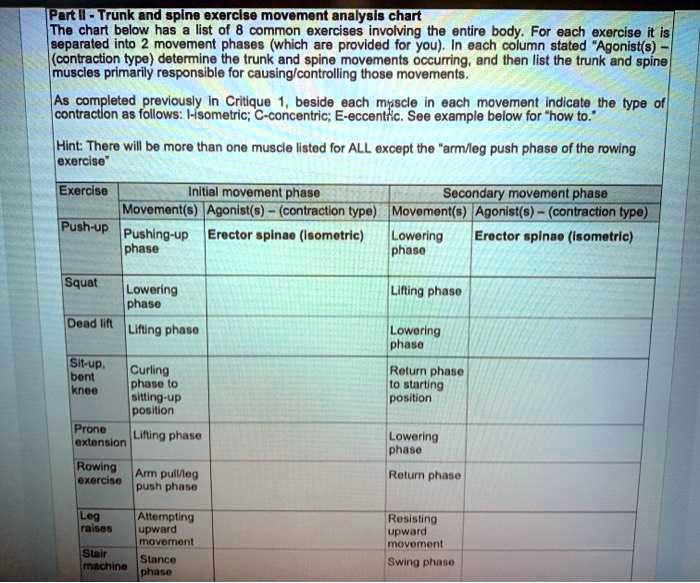 Part II - Trunk and spine exercise movement analysis chart The chart ...