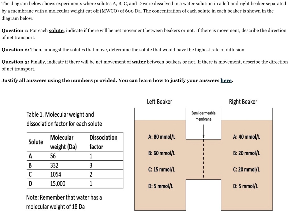 the diagram below shows experiments where solutes a b c and d were ...