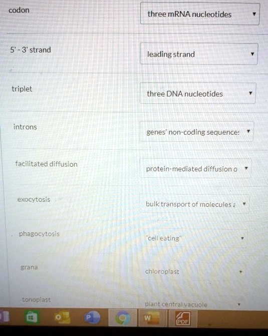 SOLVED: Codon Three mRNA nucleotides 5' - 3' strand Leading strand Triplet Three DNA nucleotides ...