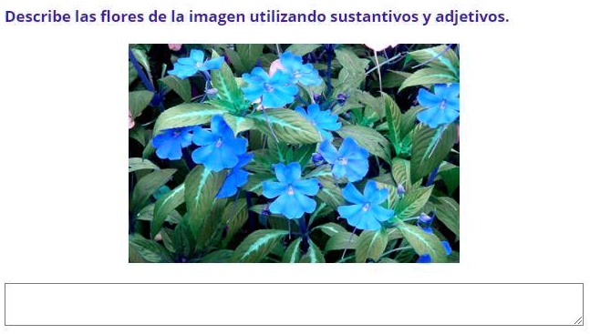 SOLVED: ayuda plissssssss .b Describe las flores de la imagen ...