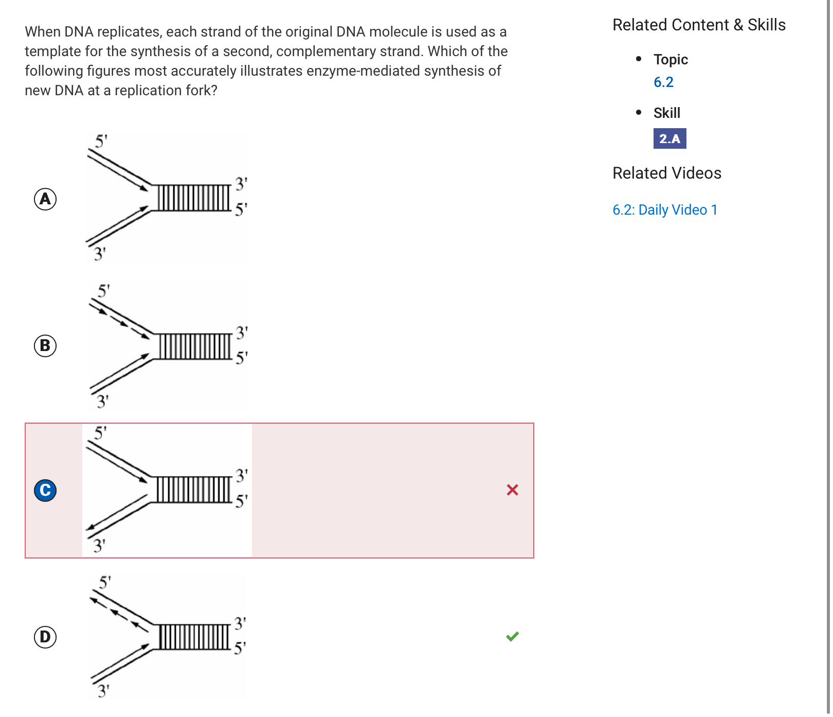 SOLVED: When DNA replicates, each strand of the original DNA molecule ...