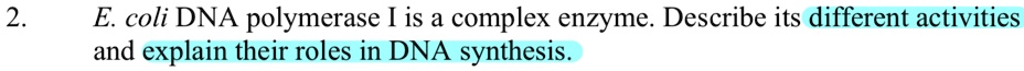 2. E. coli DNA polymerase I is a complex enzyme. Describe its different ...