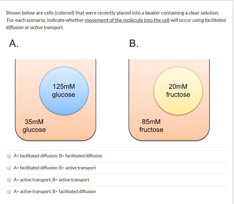 SOLVED: Shown below are cells (colored) that were recently placed into ...