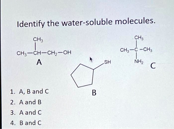 identify the water soluble molecules ch3 ch3 chchz oh ch ch3 ch3 sh nhz ...