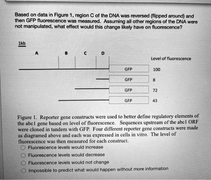 SOLVED: Based on data in Figure 1, region C of the DNA was reversed (flipped around) and then ...