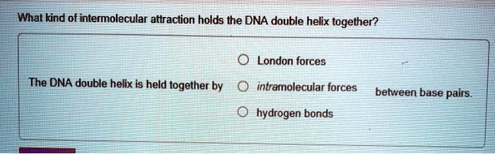 SOLVED: What kind of intermolecular attraction holds the DNA double ...