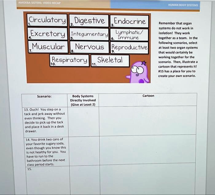 AMOEBA SISTERS: VIDEO RECAP HUMAN BODY SYSTEMS 1. Circulatory 2 ...