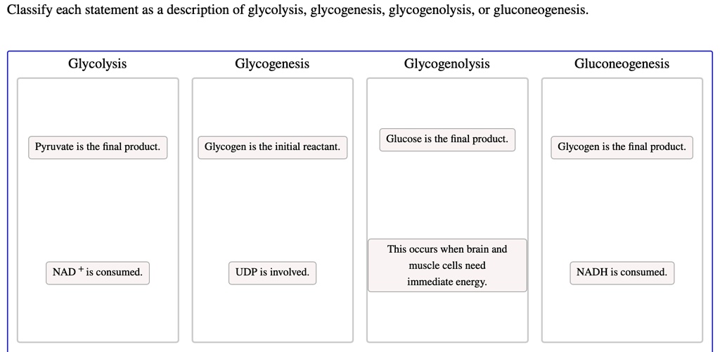 classify each statement as a description of glycolysis glycogenesis ... classify each statement as a description of glycolysis glycogenesis ...