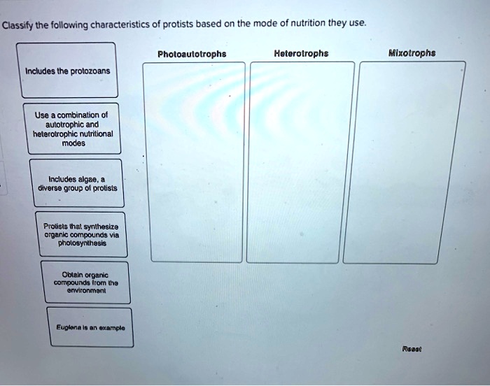 Classify the following characteristics of protists based on the mode of ...