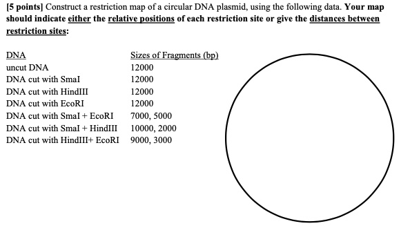 SOLVED: [5 points] Construct restriction map of circular DNA plasmid, using the following data ...