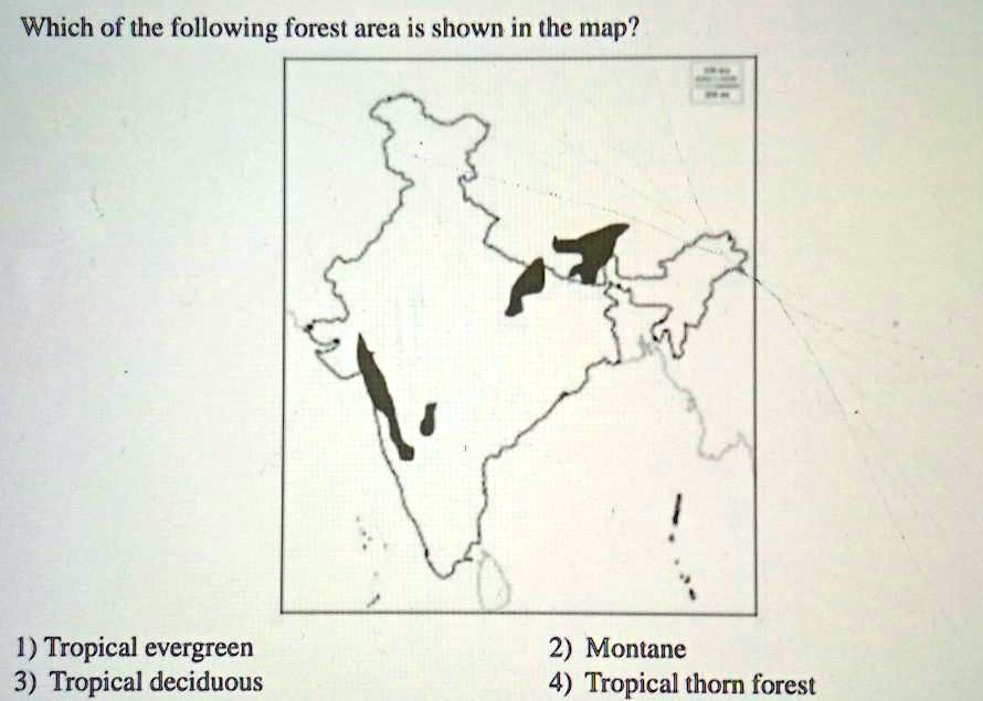 Tropical Evergreen Forest Map
