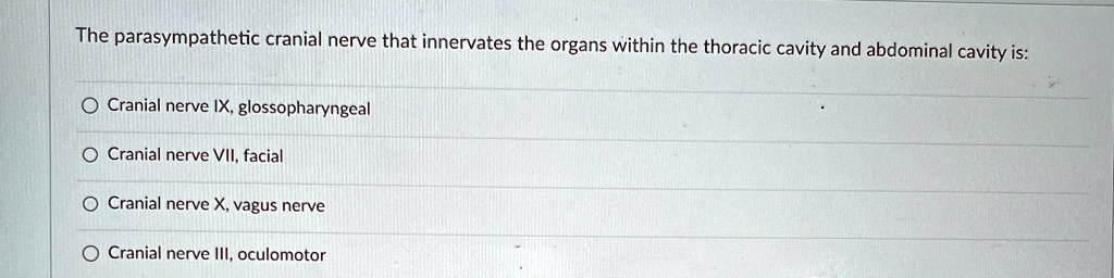 The parasympathetic cranial nerve that innervates the organs within the ...
