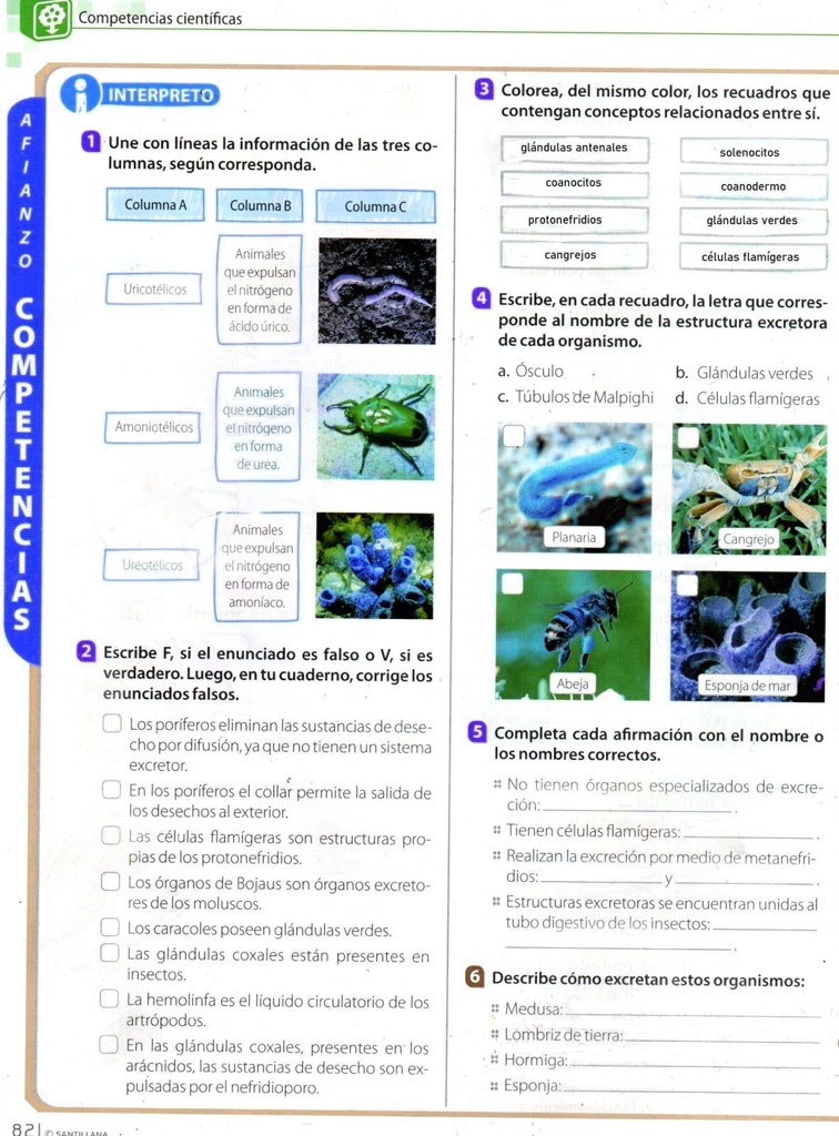 SOLVED: une con lineas la información de las tres columnas según ...