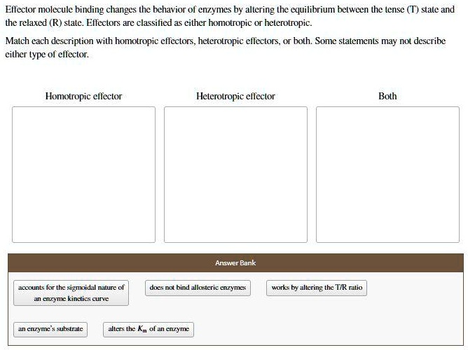 SOLVED: Eflector molecule binding changes the behavior of enzymes by ...