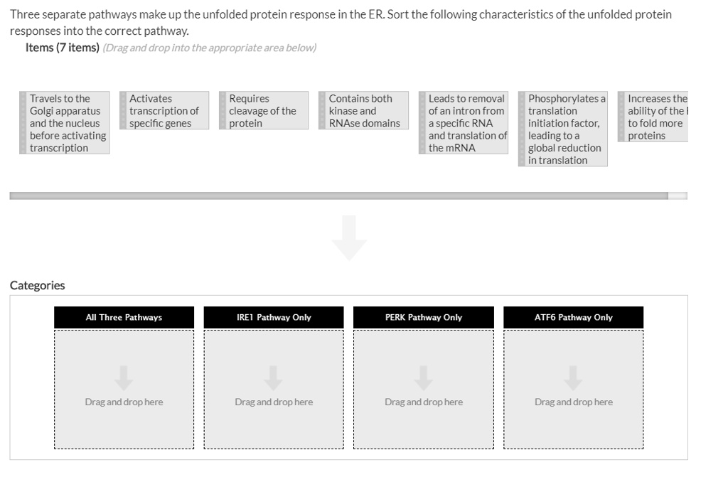 Three separate pathways make up the unfolded protein response in the ER. Sort the following ...