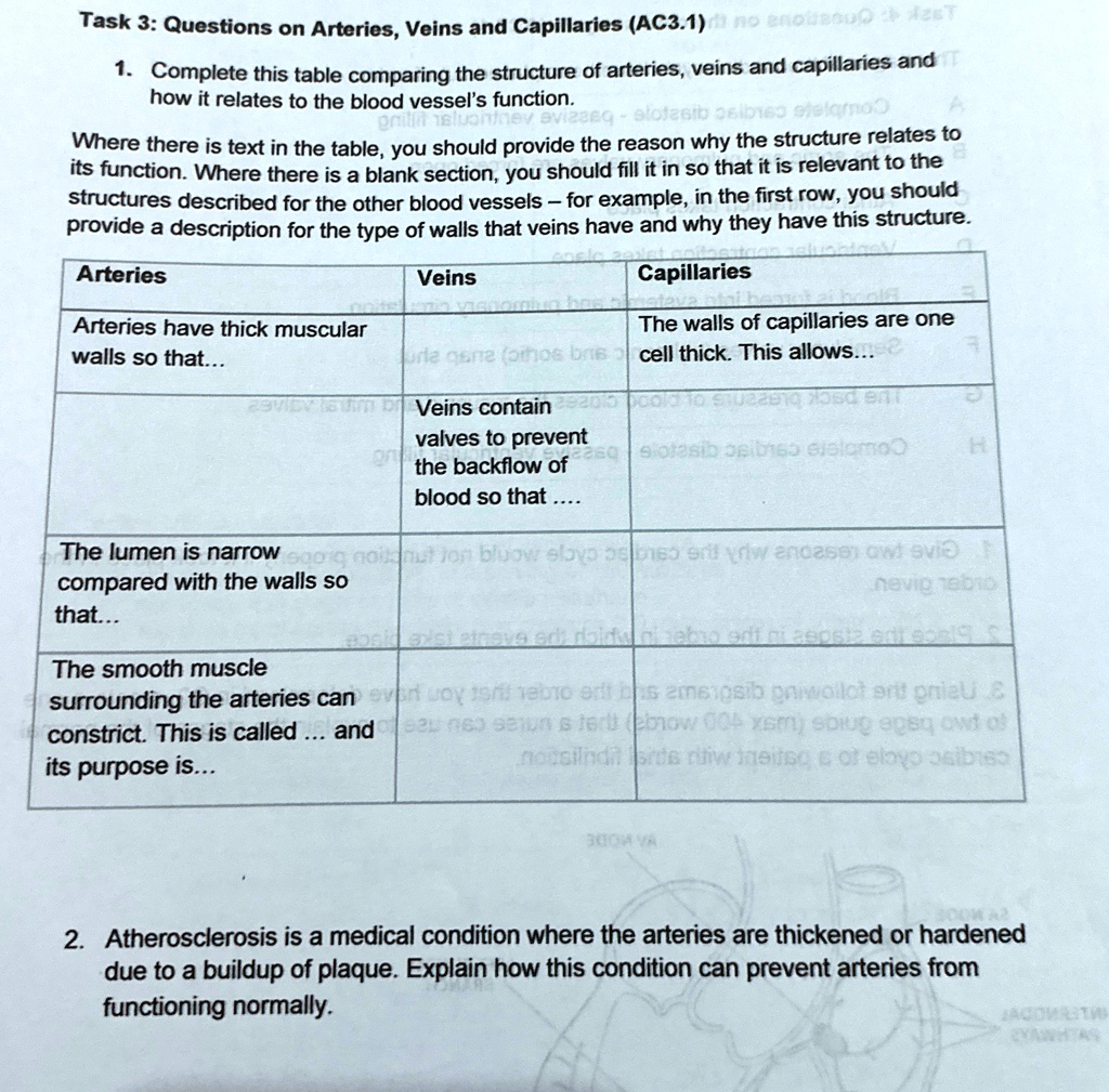 Task 3: Questions on Arteries, Veins and Capillaries (AC3.1) 1 ...