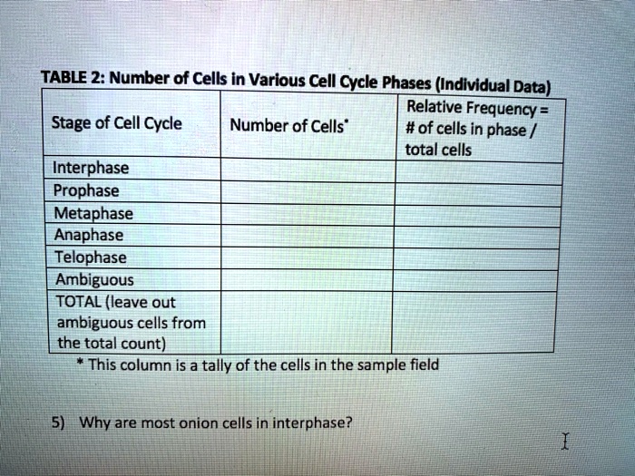 table 2 number of cells in various cell gycle phases individual data relative frequency stage of ...