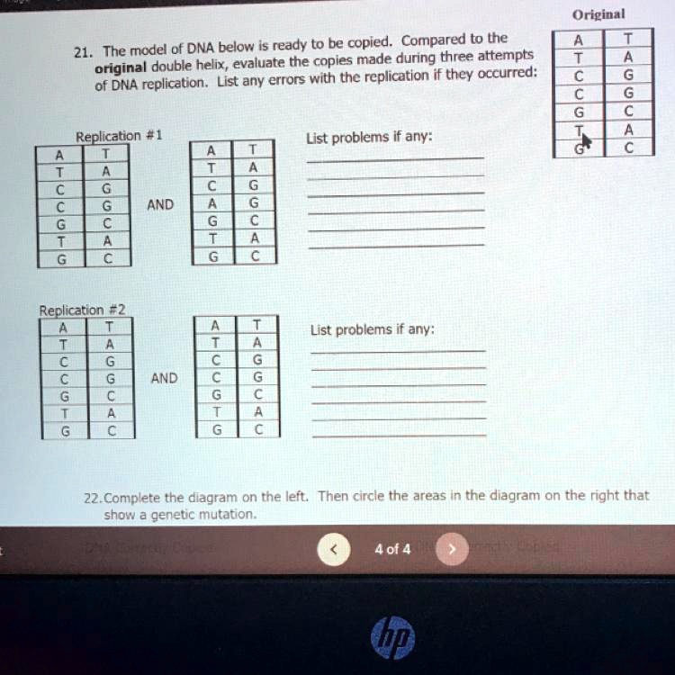 SOLVED: 21. The model of DNA below is ready to be copied. Compared to the original double helix ...