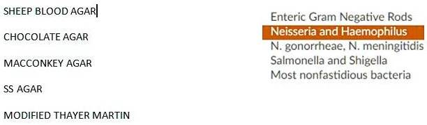 SHEEP BLOOD AGAR CHOCOLATE AGAR MACCONKEY AGAR SS AGAR MODIFIED THAYER ...