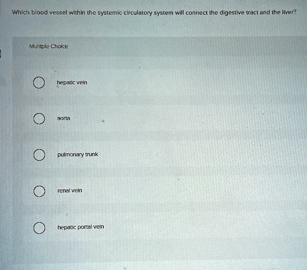 Which blood vessel within the systemic circulatory system will connect ...