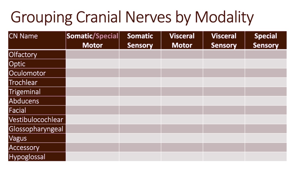 grouping cranial nerves by modality cn name somaticspecial motor ...