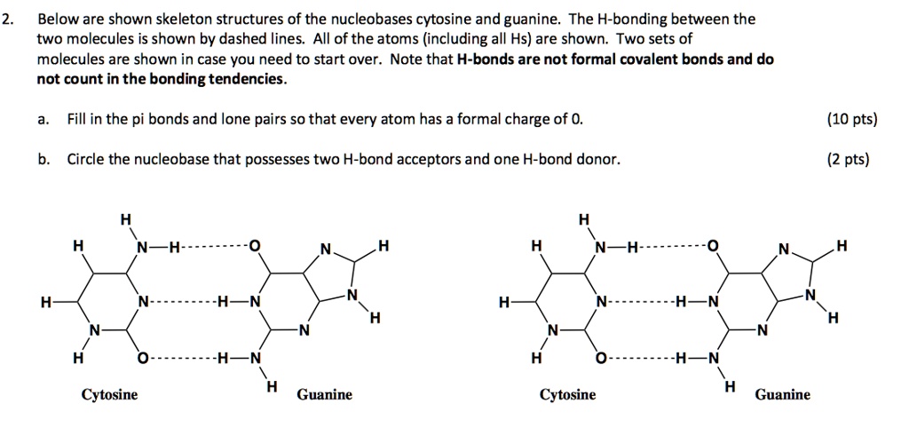 SOLVED: Below are shown skeleton structures of the nucleobases cytosine ...