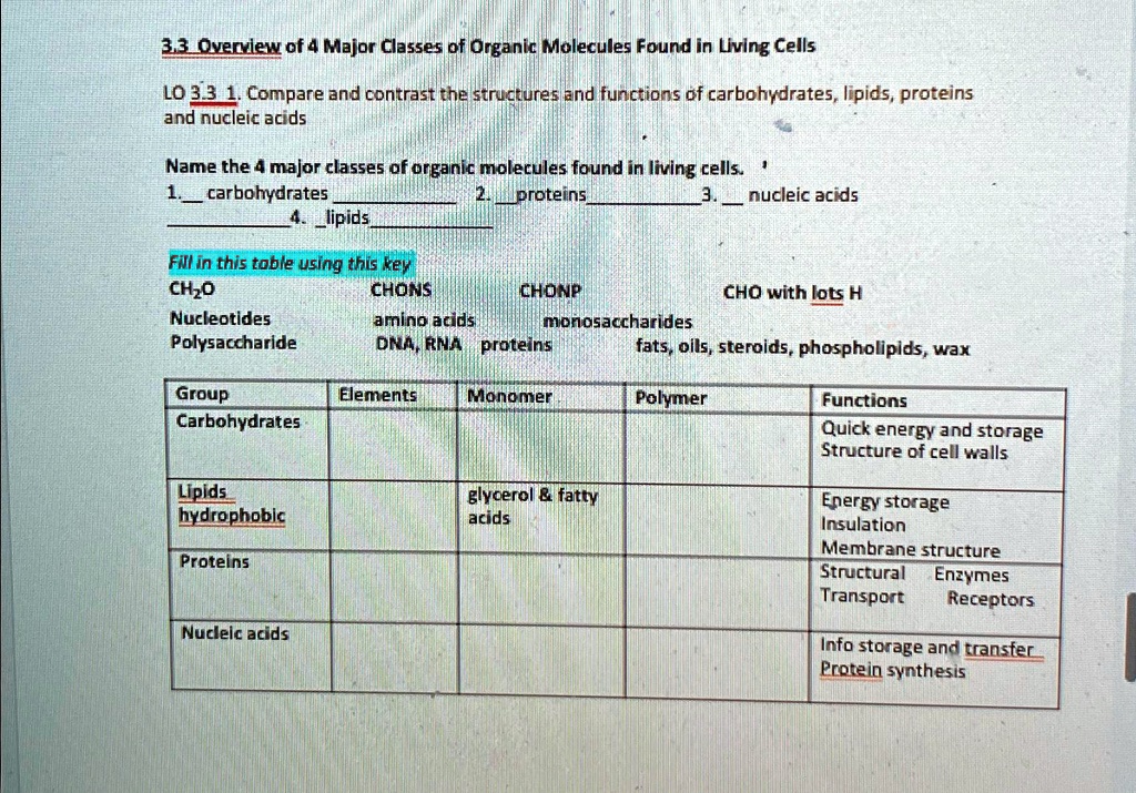 33 overview of 4 major classes of organic molecules found in living ...