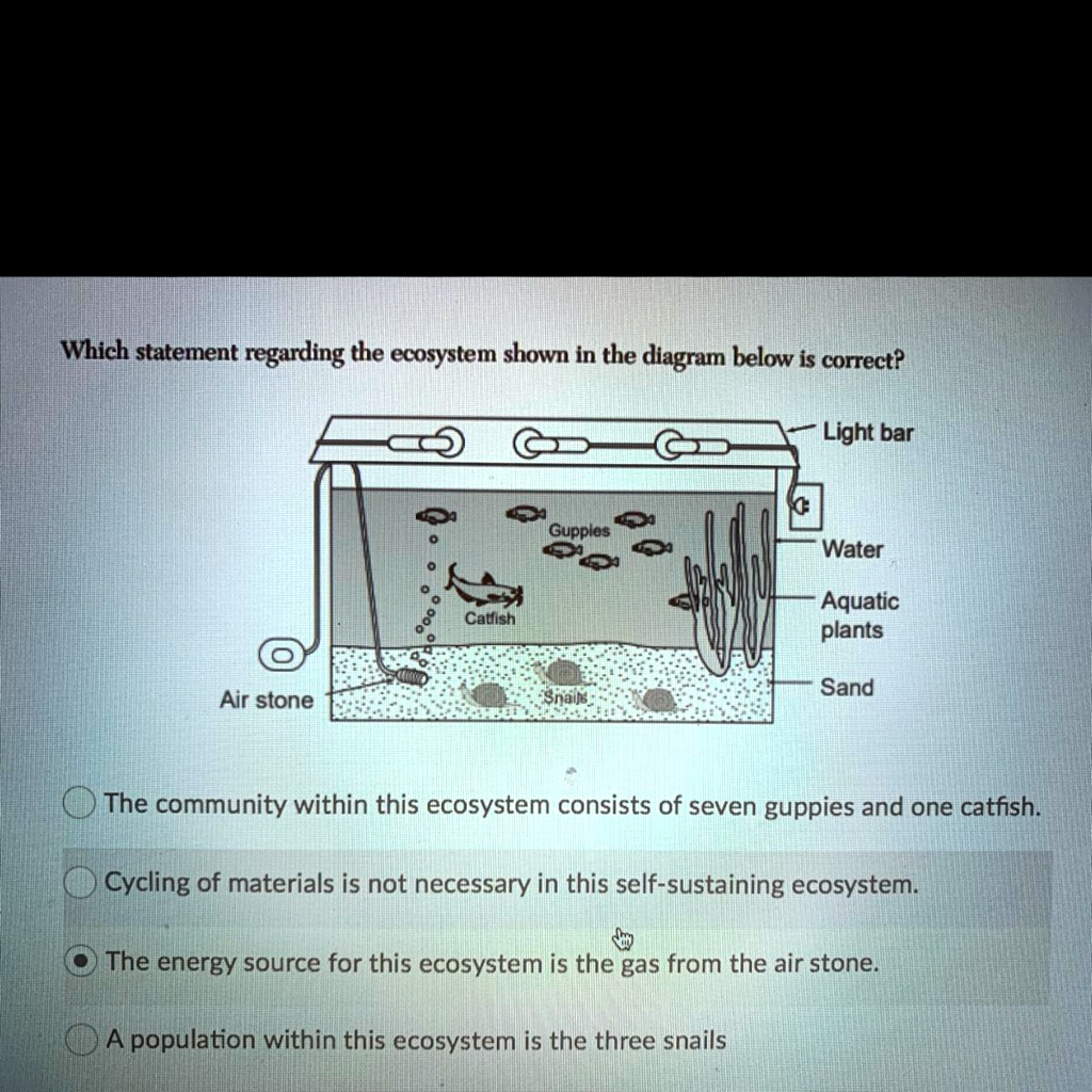 Which statement regarding the ecosystem shown in the diagram...