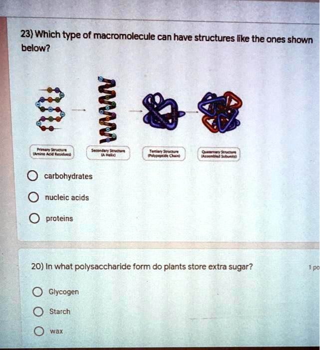 SOLVED: 23) Which type of macromolecule can have structures Ike the ...