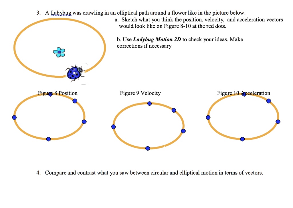 3 A Labybug Was Crawling In An Elliptical Path Around A Flower Like In