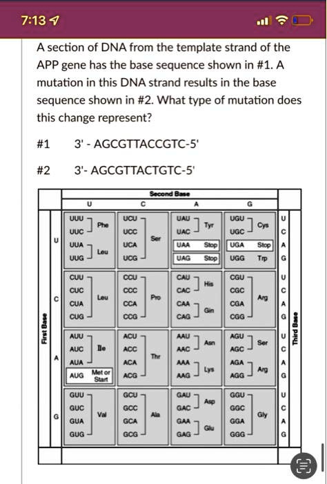 SOLVED: 7:13 A section of DNA from the template strand of the APP gene has the base sequence ...