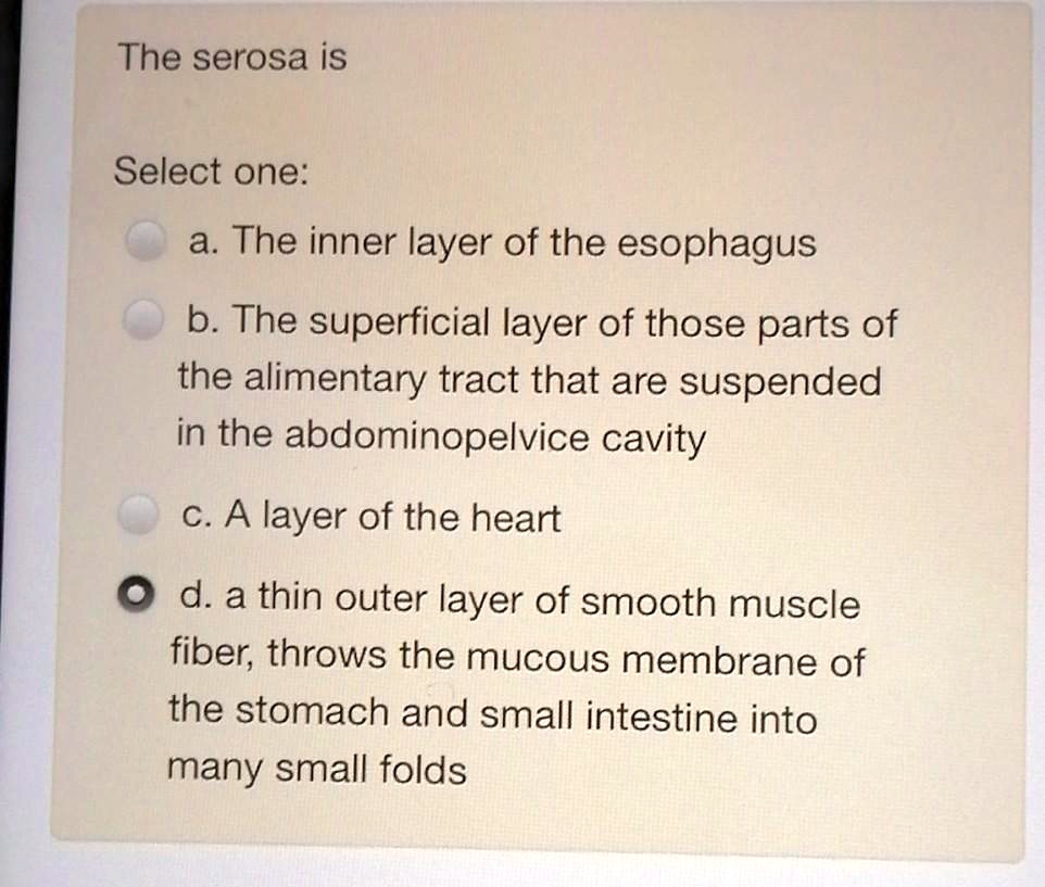 SOLVED: The serosa is a thin outer layer of smooth muscle fiber that ...